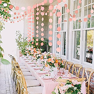 Cheerland Circle Dots Garland for Wedding Party Decorations Winter Wonderland Hanging Circle Streamers Dot Backdrop Backdrop Banner Decor for Bday Birthday Baby Shower Bachelorette (Pink)