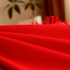 Red Fluffy Comforter Cover Shaggy Plush Set,Ultra Soft Faux Fur Duvet Cover Bedding Sets Queen 3 Pieces with Pillow Cases, red Fuzzy Bed Set Zipper Closure (Red, Queen)