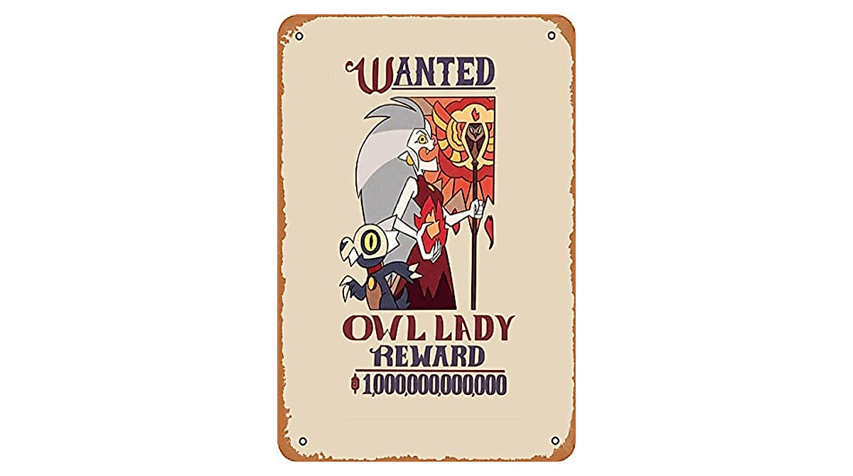 Vintage Owl Lady Metal Sign - Perfect Home Decor