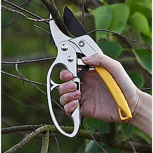 Premium Bypass Pruning Shears,Garden clippers, Gardening scissors,ratchet pruners shears, for orchard,tree, floral, live plants, arthritis weak hand gardening tools (Modern)
