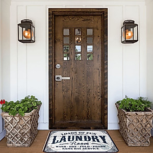 Home Decor Laundry Room Non-Slip Rugs Rubber Backing Indoor Doormat Easy Clean for Inside Floor Mats for Entryway 16"(W) x 24"(L)