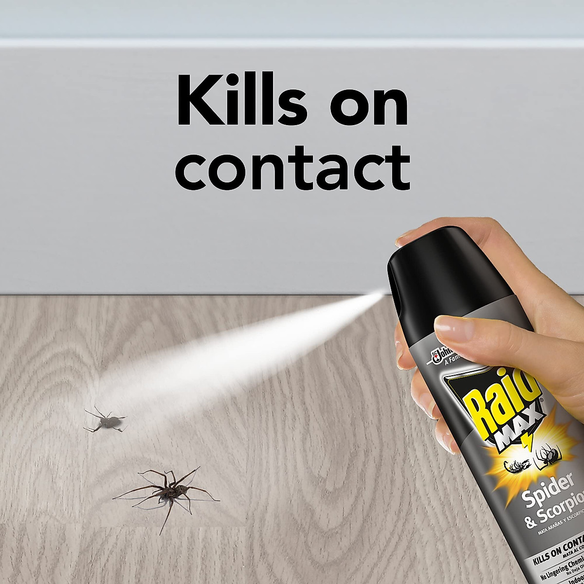 Raid Spider and Scorpion Killer, Kills spiders, scorpions, roaches, ants, Waterbugs, earwigs, 12 Oz