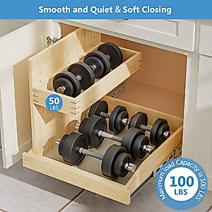 LOVMOR Soft Close Under Sink Organizer 22½” W x 21” D, Pull Out Cabinet Organizer with U Bracket, 2 Tier Slide Out Shelf for Kitchen Bathroom Sink(Left)