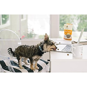 Remy’s Kitchen Sweet Potato Turmeric Freeze Dried Dog Treats USA Sourced and Small Batch Made - Human-Grade, All Natural Superfood Dog Snacks Without Artificial Preservatives, Grain Free - 3.5 oz