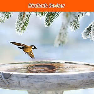lollyes 250W Bird Bath Heater, Heated Bird Baths for Outdoor in Winter, Bird Bath De-icer with Thermostatically Controlled and 3.3Ft Cord, with Auto Shut Off Function, Ideal Gift for Birds
