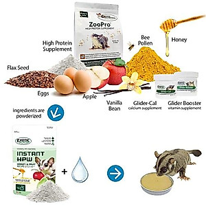Sugar Glider Complete Food Starter Package - Nutritionally Complete Pellet Diet & High Protein Supplemental Food for Sugar Gliders… (2 Piece Set)
