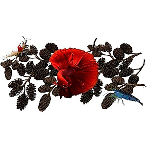 Alder & Casuarina Cones Betta/Shrimp Tank Promotes Natural Habitat, Breeding, Tannin Producing Improves Immunity, Easy to Use, Alder Cone Alternative by Awesome Aquatic (50 Pack Alder)