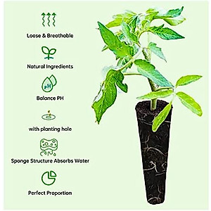 INOVASHON Grow Sponges for Hydroponics, Hydroponics Growing System Plant Sponge, Hydroponics Supplies Starter Kit, Herb Indoor Gardening System, Replacement Plant Germination Kits (50 Packs)