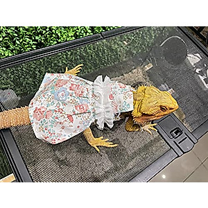 Lizard Dress for Bearded Dragon - Handmade Cotton Tutu Skirt with Lace Princess Sundress Halloween Costume Photo Cosplay Party for Reptile Lizard Bearded Dragon Crested Gecko Chameleon (M, Pink)