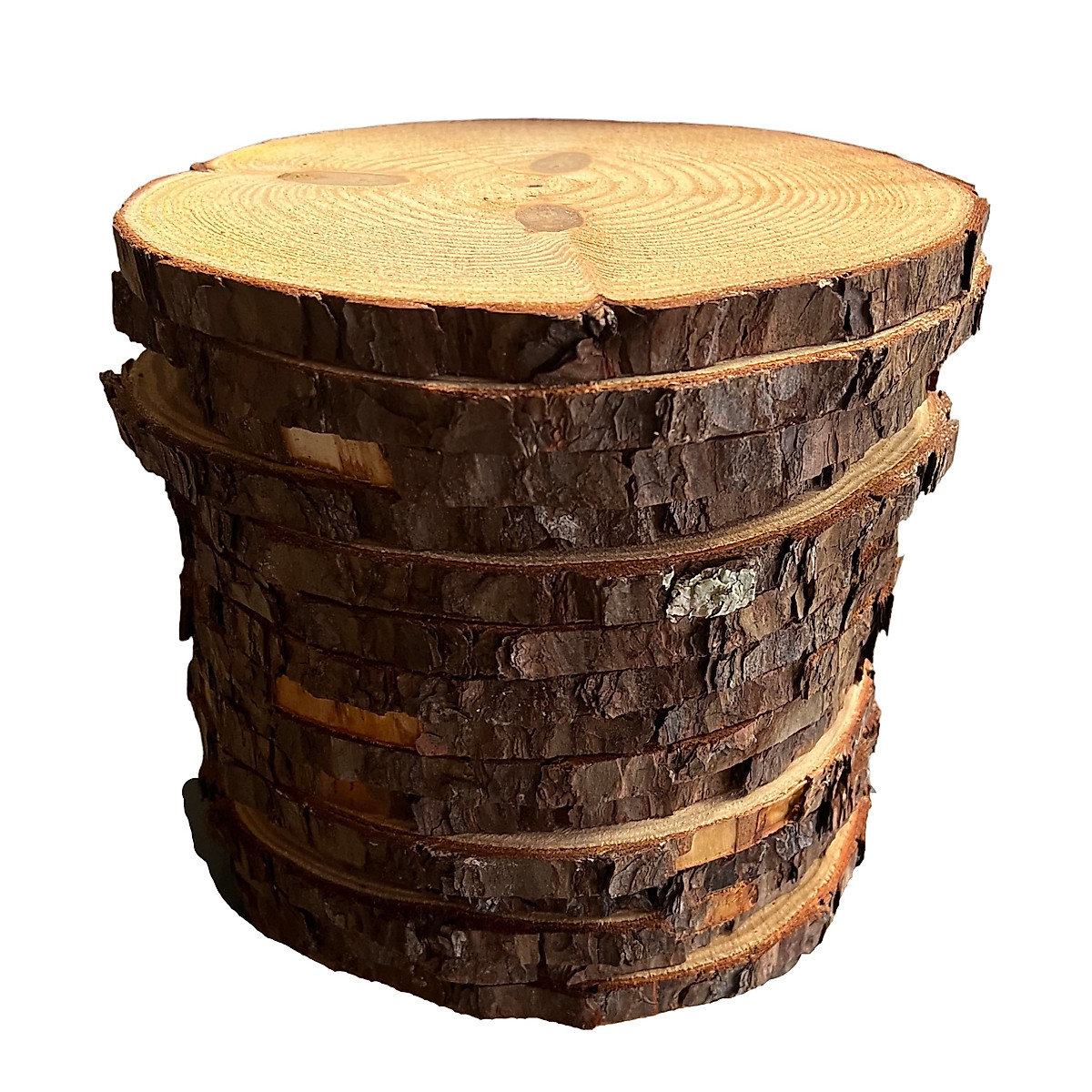Set of (14) 12-13" Wood Slice centerpieces for Tables, Rustic Wedding Decorations, Wedding Decorations for Tables, Natural Wood Slices! (14)