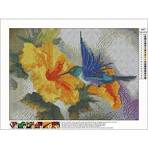 MXJSUA Hummingbird Diamond Art Painting Kits, Bluebird Diamond Art Painting Kits Full Round Drill Flowers Diamond Art Painting by Number Kits for Adults Diamond Art Hummingbirds 12X16 Inch/30x40 cm