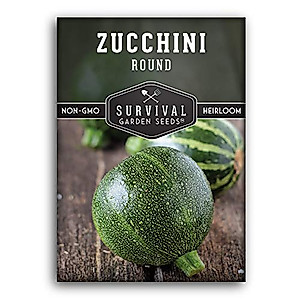 Survival Garden Seeds - Round Zucchini Seed for Planting - Pack with Instructions to Plant and Grow Small Green Zucchinis in Your Home Vegetable Garden - Non-GMO Heirloom Variety