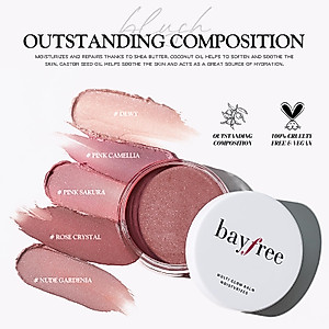 bayfree Multi Glow Balm, Cream Blush for Cheeks, Blush Balm Face Makeup, Radiant Finish, Hydrating, Creamy, Lightweight & Blendable Color, Face Balm, 0.63 Oz (Rose Crystal)