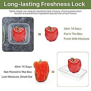 Lainballow 4 Pcs Cheese Container For Refrigerator, Plastic Cheese Slice Holder with Lids, Sliced Cheese Keeper For Fridge, Airtight Cheese Box for Refrigerator Food