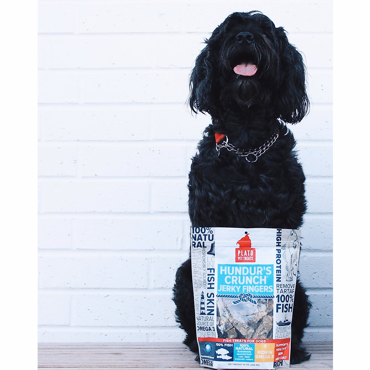 PLATO Hundur's Crunch Fish Dog Treats Variety Pack, (1) Fish Jerky Fingers 3.5oz and (1) Fish Jerky Minis 3.5oz, 7oz Total