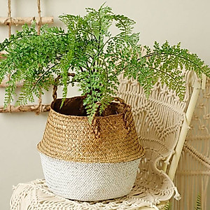 Plant Basket Indoor Outdoor Natural Woven Seagrass Wicker Folding Belly Basket Flower Pots for Storage, Laundry, Picnic, Plant Pot Cover, and Beach Bag (White#1, 25X27cm)