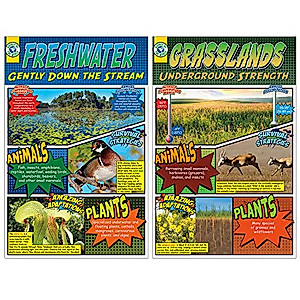 NORTH STAR TEACHER RESOURCE Biomes Bulletin Board Set