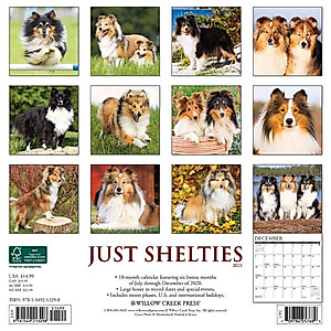 Just Shelties 2021 Wall Calendar (Dog Breed Calendar)