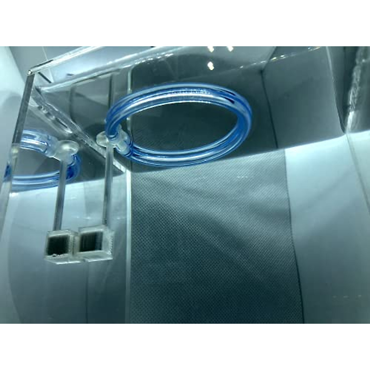 Magnetic Invisible Feeding Ring (Customizable and Auto-Leveling) Food Portal for Floating Plant Aquariums and Fish Tanks (Single)