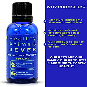 Healthy Animals 4 Ever Arthritis Remedy for Cats - Restore Energy & Vitality - Support Hip & Joint Health - Minimize Pain - All-Natural, Non-GMO, Organic - Preservative & Chemical Free - 300 ct