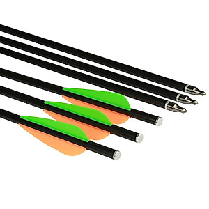 SHENG-RUI ARCHERY Crossbow Bolts Fiberglass Arrows with Flat Nock Replaced Arrowheads for Outdoor Hunting 14 inch (Pack of 12)