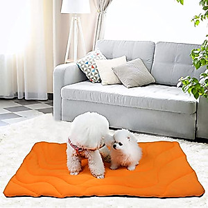 GeerDuo Outdoor Dog Mat, Portable, Waterproof, Washable, Large Size Roll Up Travel Camping Pet Bed (Large)