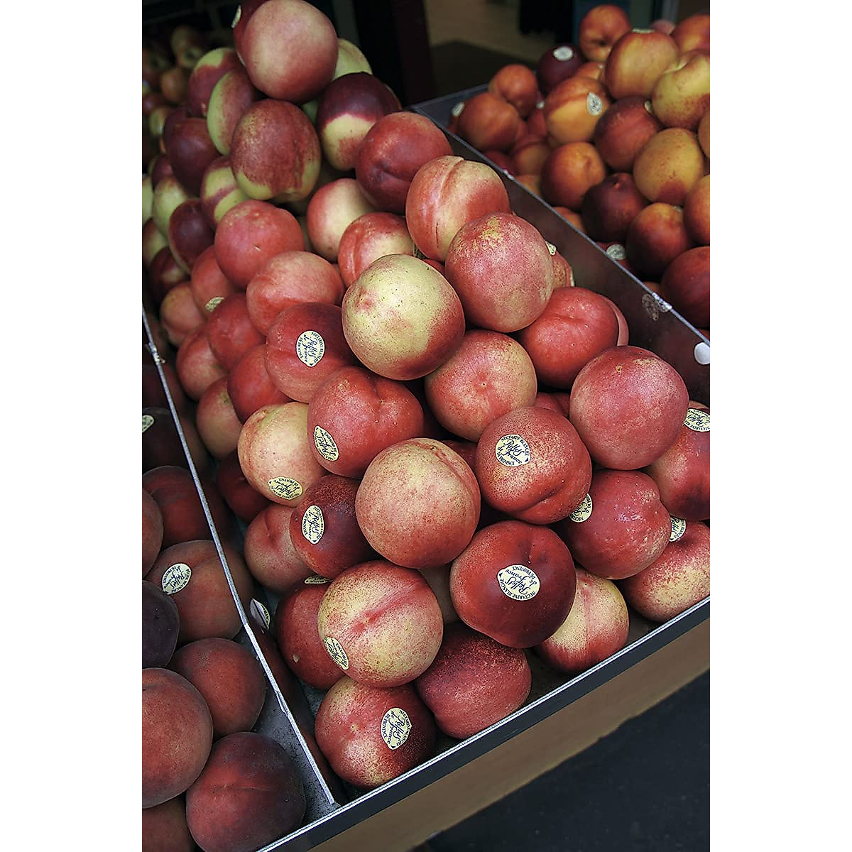 TAMRON - 18-200 mm F/3.5-6.3 Di III VC - for Sony E-Mount - Black - B011EMB