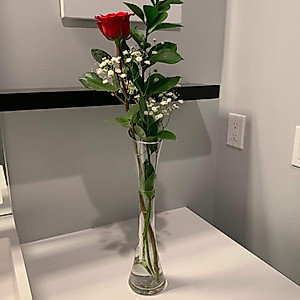 WGV Maria Bud Vase Bulk, Width 2", Height 10", Clear Slant Cut Opening Gathering Concaved Glass Floral Container Centerpiece for Wedding Party Event Home Office Decor, 6 Pieces