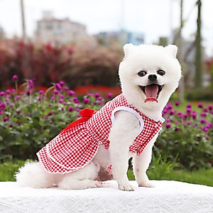 Dog Girl Plaid Princess Dress with Bowknot + Dog Leash for Wedding Party Summer Beach,Puppy Sleeveless Cool Breathable Apparel Party Outfit Red