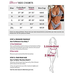 Dlsave Women's Sexy Exotic Lace 2 Piece Lingerie Set Sexy Floral Underwired Bra and Panty Sets Blue