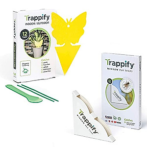 Trappify Sticky Fly Traps for Home Pest Control - Fly, Gnats and Other Flying Insects Killer with Extra Sticky Adhesive Disposable Fly and Bug Catcher - 24 Traps