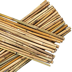 Frcctre 60 Pack 16 Inch Bamboo Plant Stakes, Natural Garden Sticks for Plant Indoor and Outdoor Gardening Plant Support Climbing Stakes for Tomatoes, Beans, Potted Plants