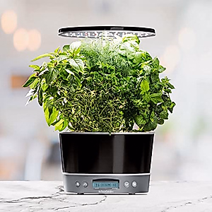 AeroGarden Harvest Elite 360 with Gourmet Herb Seed Pod Kit - Hydroponic Indoor Garden, Platinum Stainless