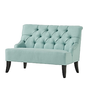 Christopher Knight Home Nicole Fabric Settee, Light Blue