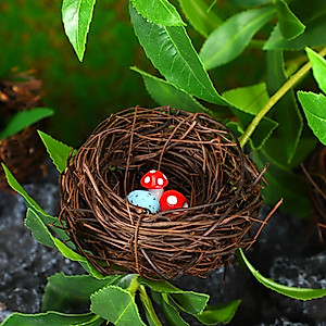 12 Pcs Artificial Bird Nest Easter Handmade Natural Rattan Bird Nests for Easter Garden Yard Home Crafts Party Wedding Patio Succulent Planter DIY Terrarium Moss Landscape (2.36 Inch)