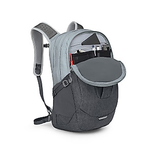 Osprey Comet 30 Laptop Backpack, Silver Lining/Tunnel Vision