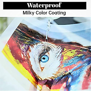 Koala Waterproof Inkjet Semi Transparency Film for Silk Screen Printing - 8.5x11 Inches 20 Sheets
