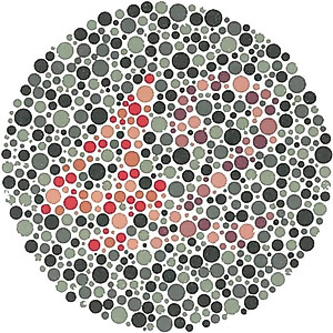 Ishihara Test Card Book, Color Vision Test Book with 38 Plate, Distinguish Between Colorblind Patients, Hidden Numbers and Category Design, Used to Judge The Degree of Color Vision Deficiency