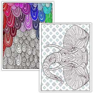 Adult Coloring Book Bundle with 10 Deluxe Coloring Books for Adults and Teens (Over 250 Stress Relieving Patterns).