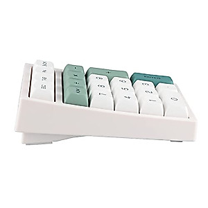 EPOMAKER TH21 21 Keys Hot Swappable Mechanical Gaming Numpad, 3 Modes(2.4Ghz/Bluetooth 5.0/Wired) Programmable RGB Numeric Keypad with PBT Keycaps for Win/Mac (Botanic Garden, Flamingo Switch)