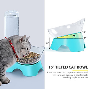 MILIFUN Double Dog Cat Bowls - Pets Water and Food Bowl Set, 15°Tilted Water and Food Bowl Set with Automatic Waterer Bottle for Small or Medium Size Dogs Cats