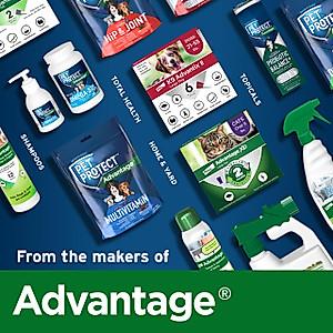 Pet Protect from The Makers of Advantage Vet-Formulated Hip & Joint+ Supplement for Dogs | 60 Chews