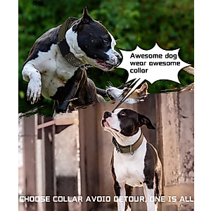 Large Dog Collar Heavy Duty - 2 inch Wide with Handle for Extra Large Breed Dogs, 1/3" Thick Nylon Chew Proof Tactical Collar, Good Choice for German Shepherd,Pitbull,Rottweiler 17"-22"