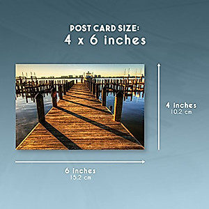 Best Paper Greetings 40 Pack Bulk Animal and Travel Postcards From Around the World for Mailing, Assorted Nature Thank You Notes (4 x 6 In)