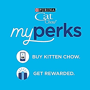 Purina Kitten Chow Dry Kitten Food, Nurture Muscle + Brain Development - 14 lb. Bag