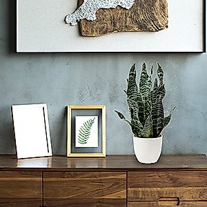 Hollyone Artificial Snake Plant Potted Faux Sansevieria Trifasciata Plants, 17" Tropical Fake Plants in White Pots for Home Office Desk Outdoor Décor Housewarming Gift