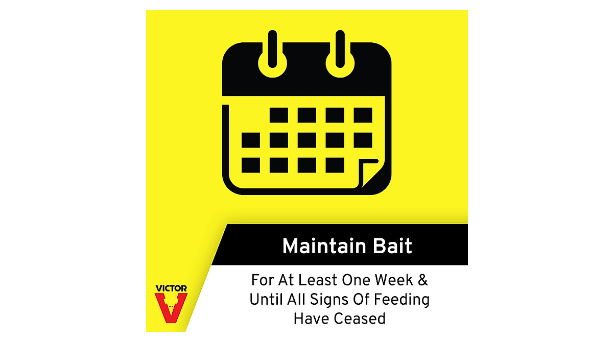 Victor M909 Fast-Kill Rodenticide - 9 lb Bait Blocks