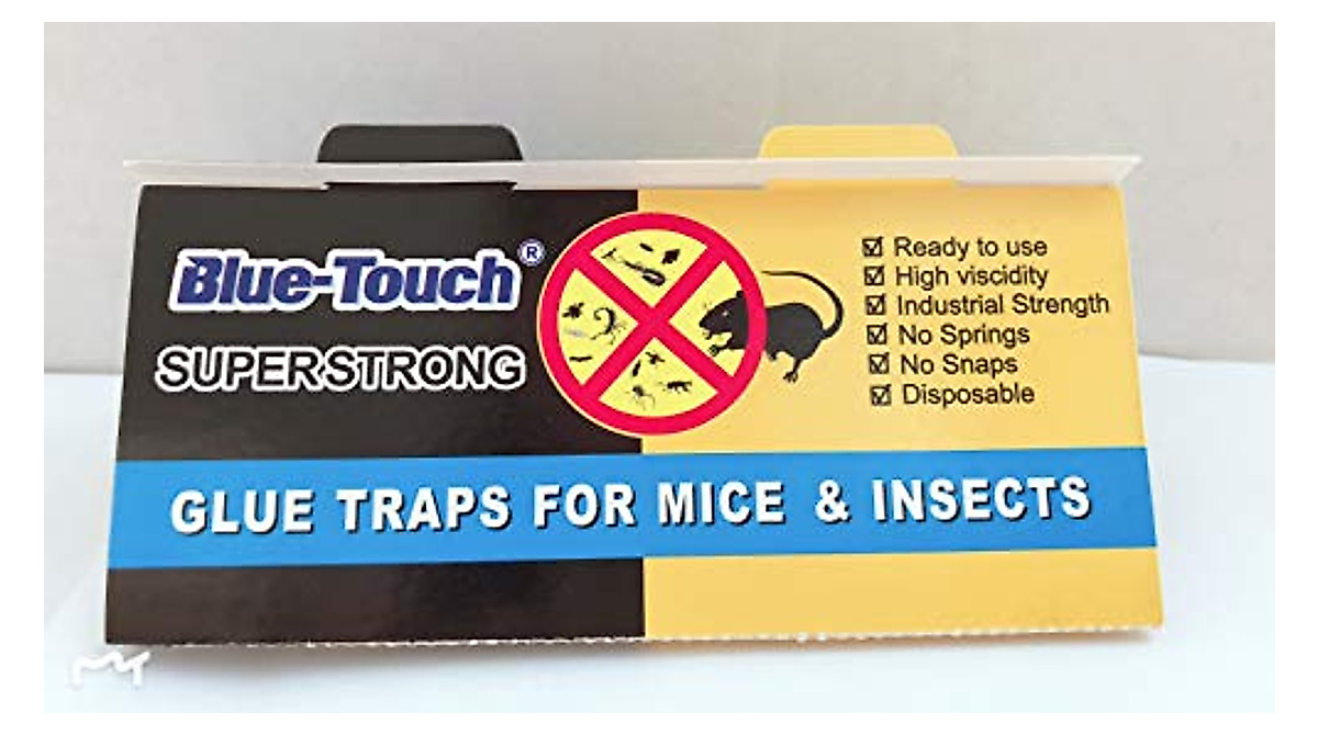 Blue-Touch Mouse Glue Traps - Effective Pest Control