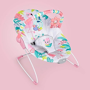 Bright Starts Baby Bouncer Soothing Vibrations Infant Seat - Removable-Toy Bar, Nonslip Feet, 0-6 Months Up to 20 lbs (Flamingo Vibes, Pink)