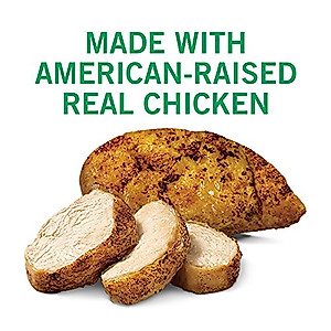 Purina Dog Chow Complete With Real Chicken Adult Dry Dog Food - 18.5 Lb. Bag